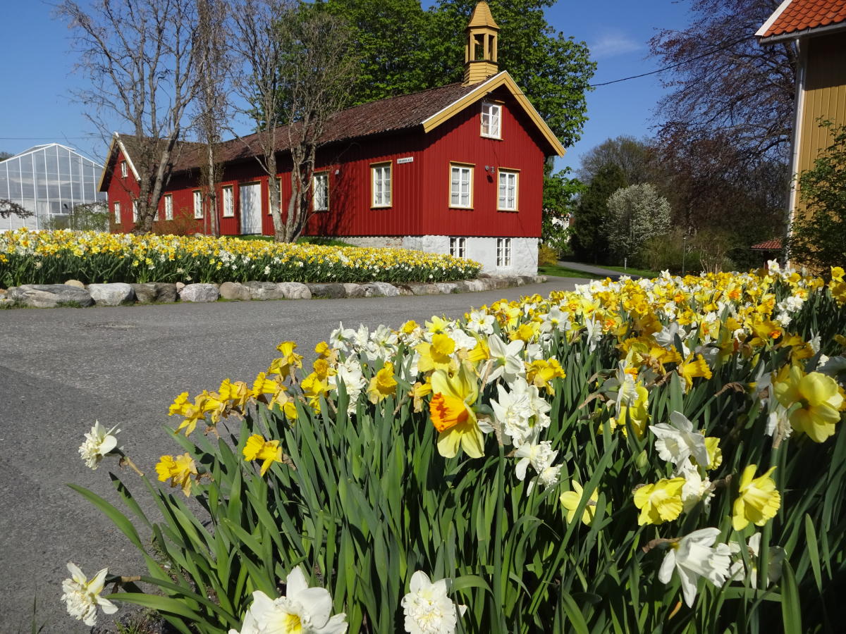 Dømmesmoen Grimstad | Family Activities | Grimstad | Norway