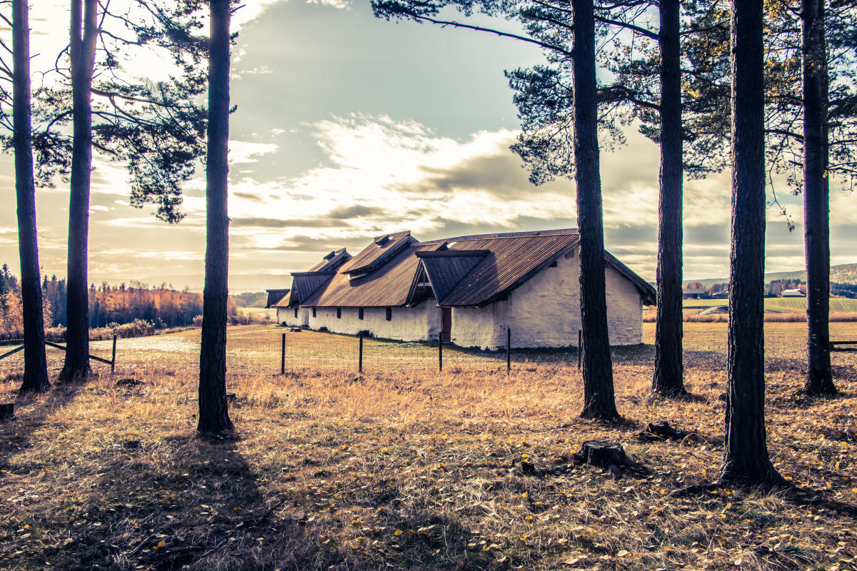 Historic sightseeing around Hønefoss | Tour Operators | Hønefoss | Norway