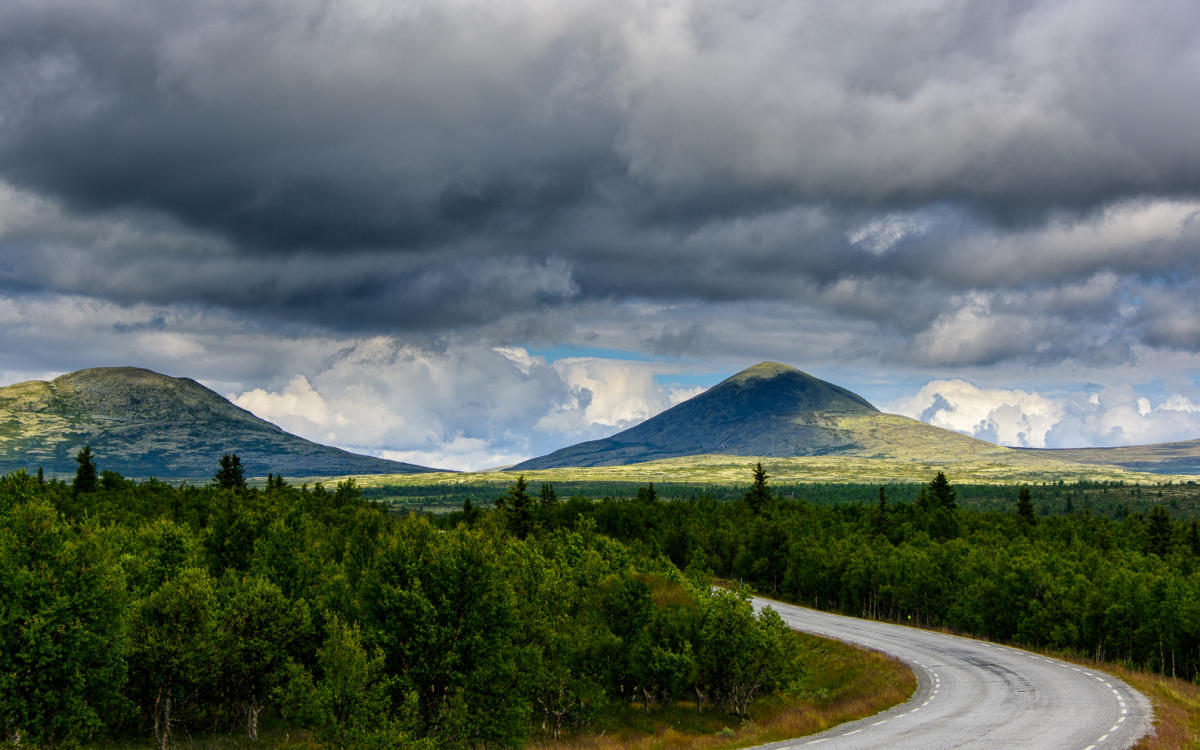 Norwegian Scenic Route Rondane | Nature Attractions | Ringebu | Norway