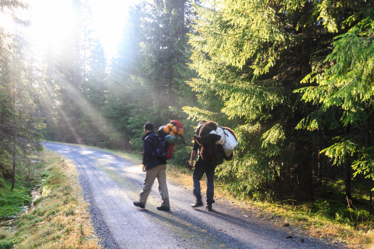 Telttur i Asker og Bærum | Nature Attractions | | Norway