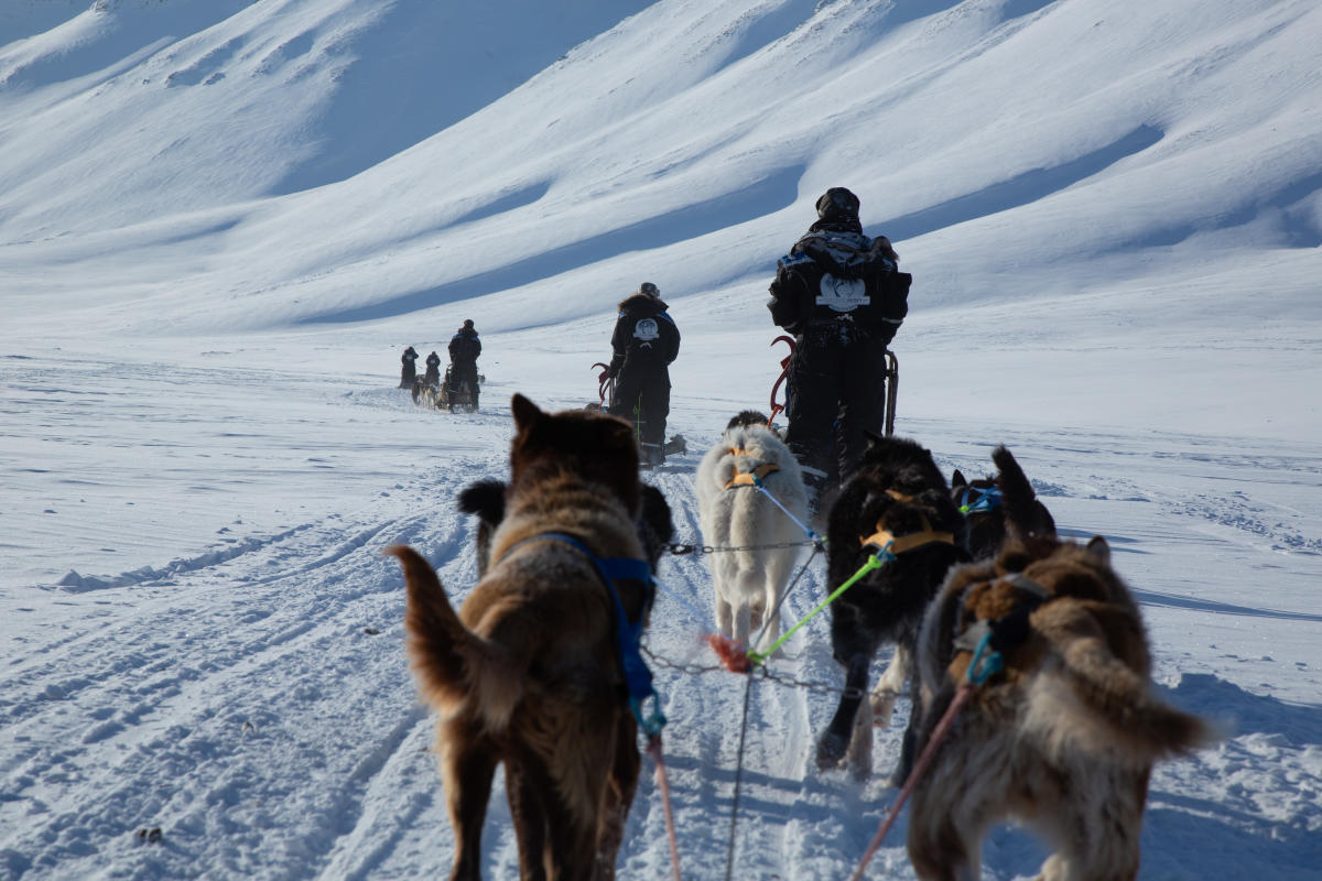 Full day trip with dogs to glacier - Svalbard Husky | Riding & Sledging ...