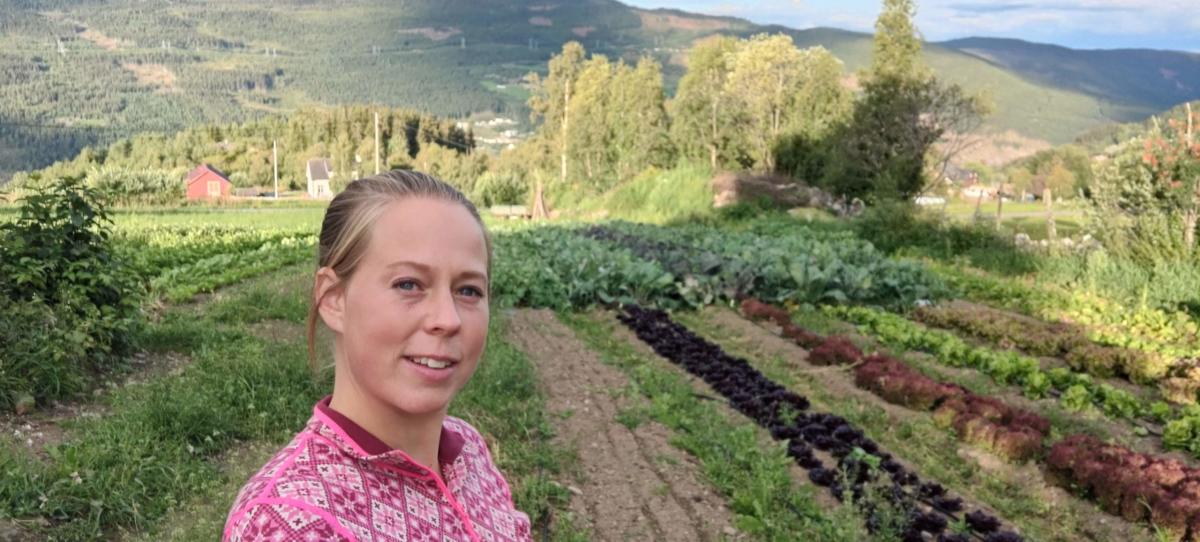 Ål Markedshage | Food Traditions | Ål | Norway