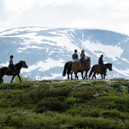 Horseback riding | Riding & Sledging | Geilo | Norway