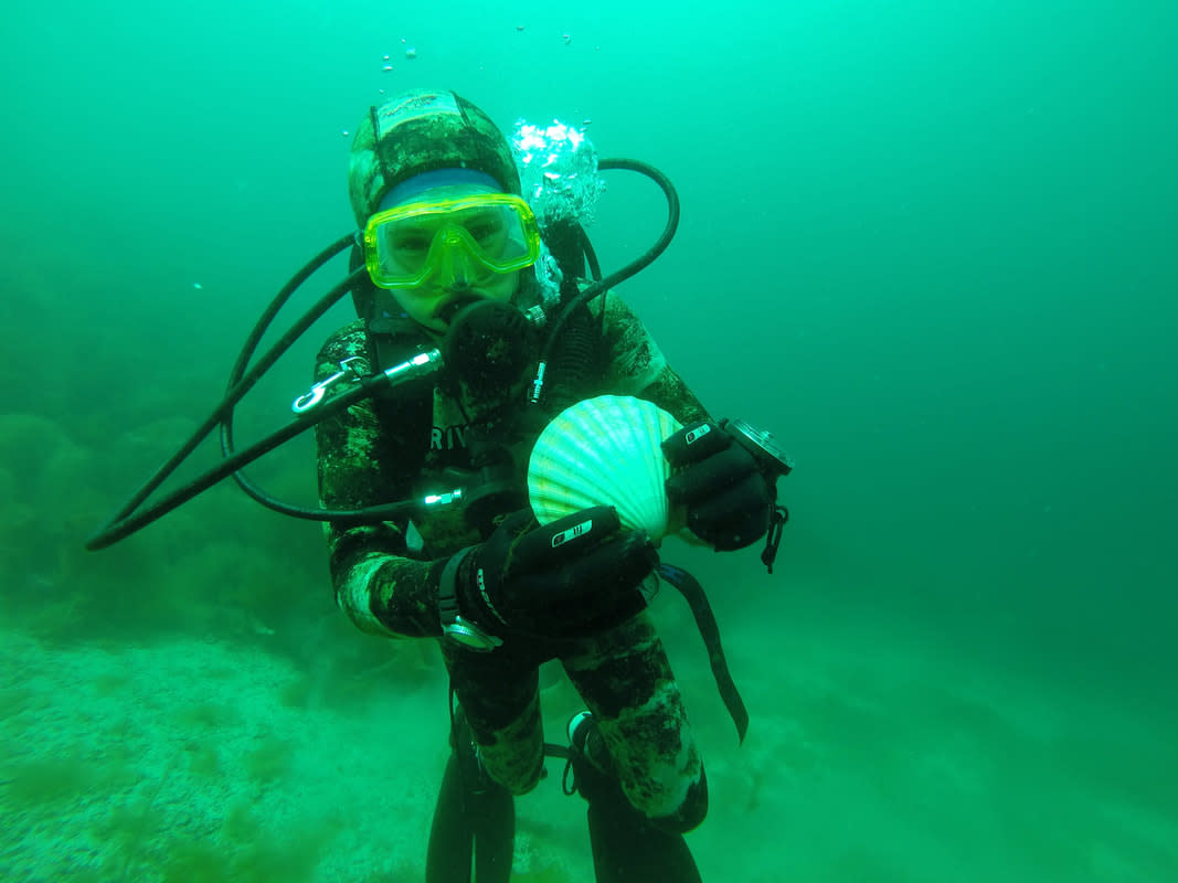 Scubadiving with Arctic Sea to Summits | Diving | Harstad | Norway