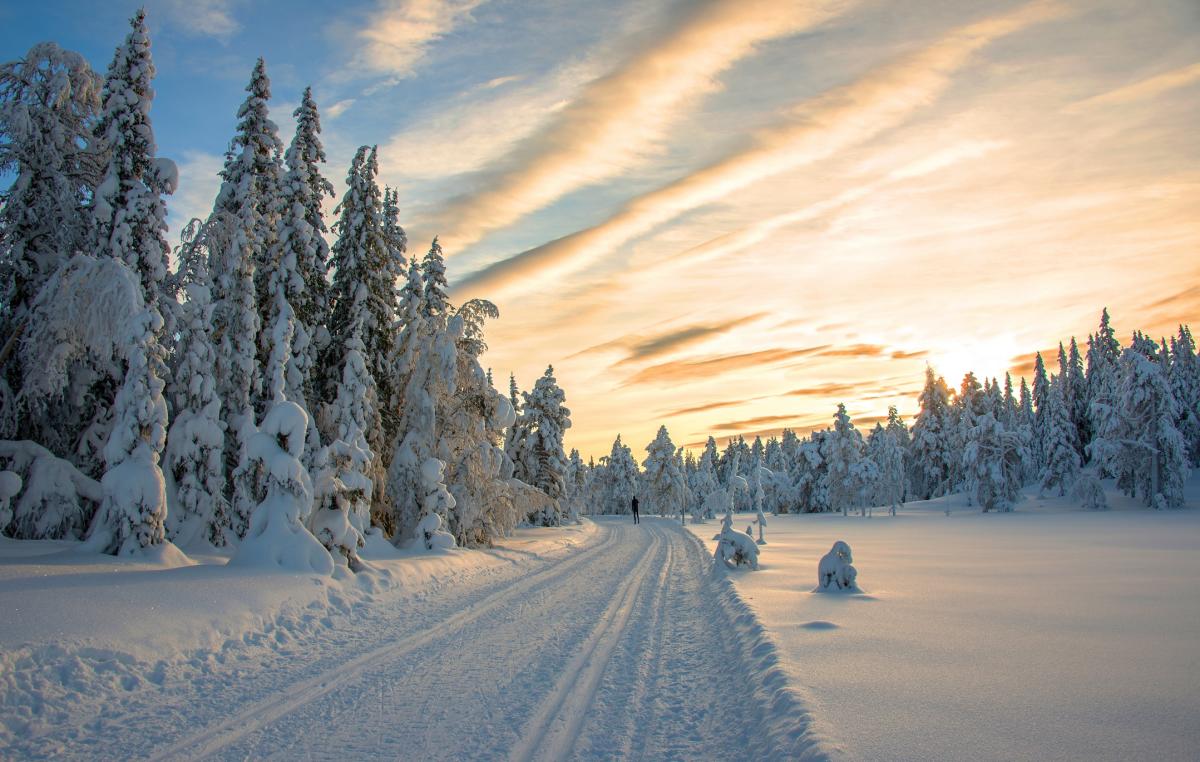 Ringerike - Skiturer på Ringkollen | Tour Suggestions | Hønefoss | Norway