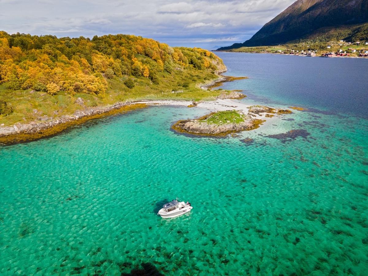 Arctic Wildlife Safari & Island Sightseeing | Wildlife & Safaris ...