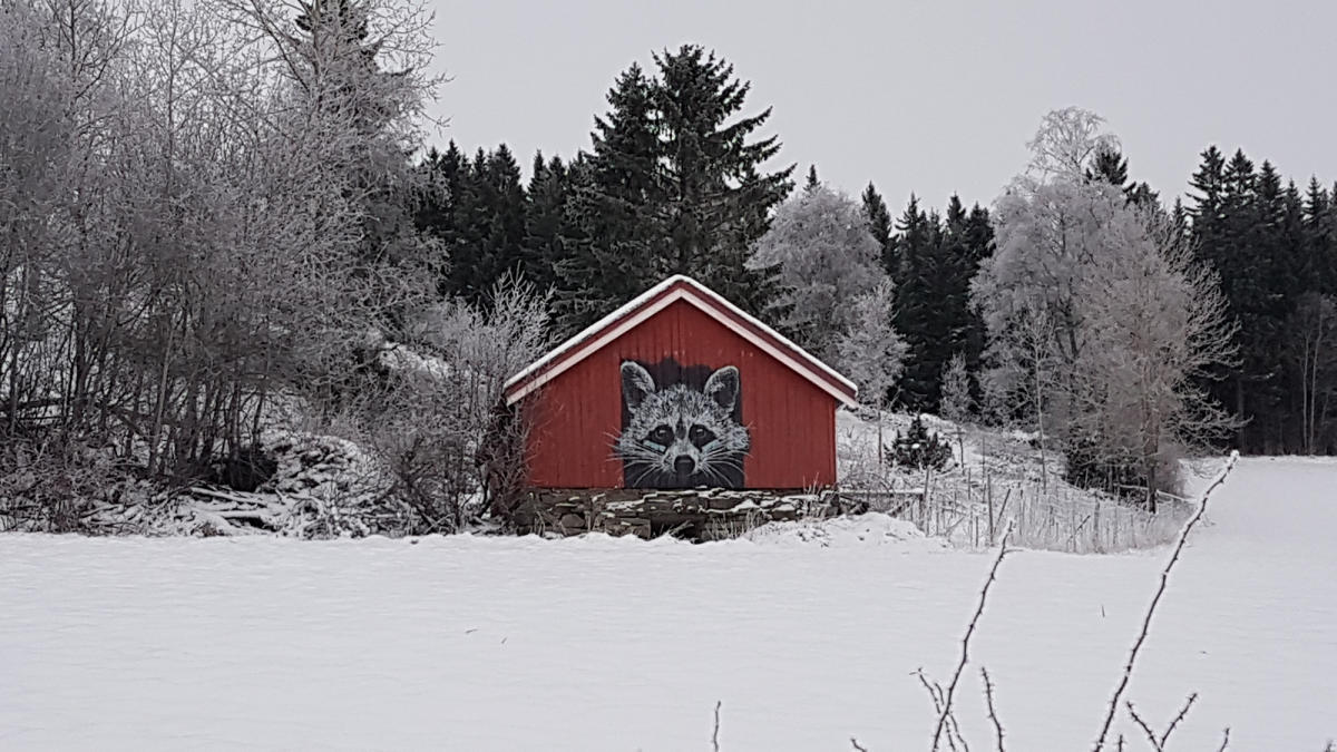 Straßenkunst von Hama Woods in der Nähe der Inderøy-Brauerei | Museums ...