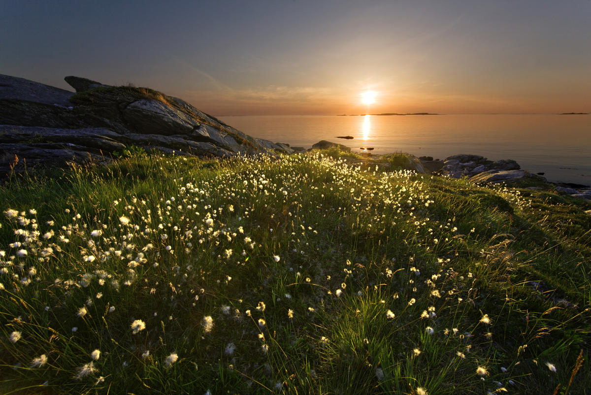 North Sea Cycle Route | Biking | | Norway