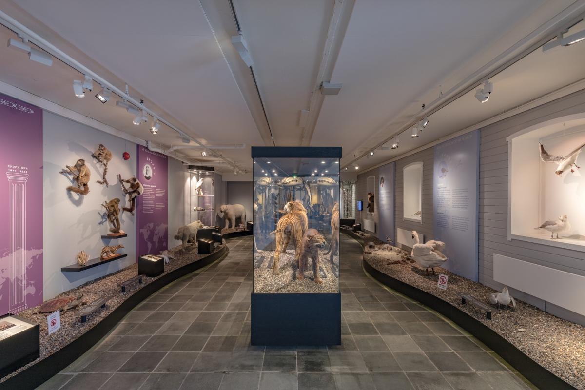 Stavanger museum med Norsk barnemuseum