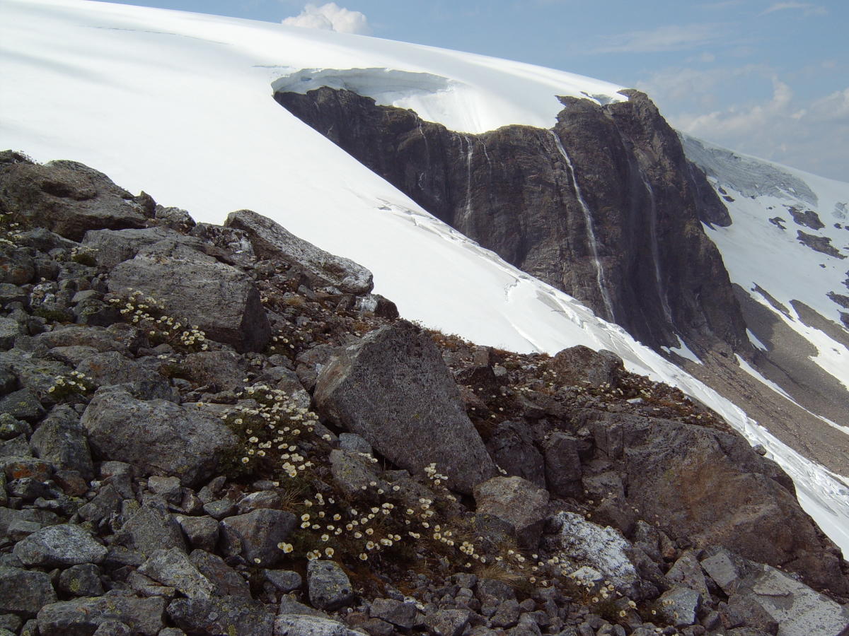 Fresvikbreen | Buildings & Monuments | Vik i Sogn | Norway
