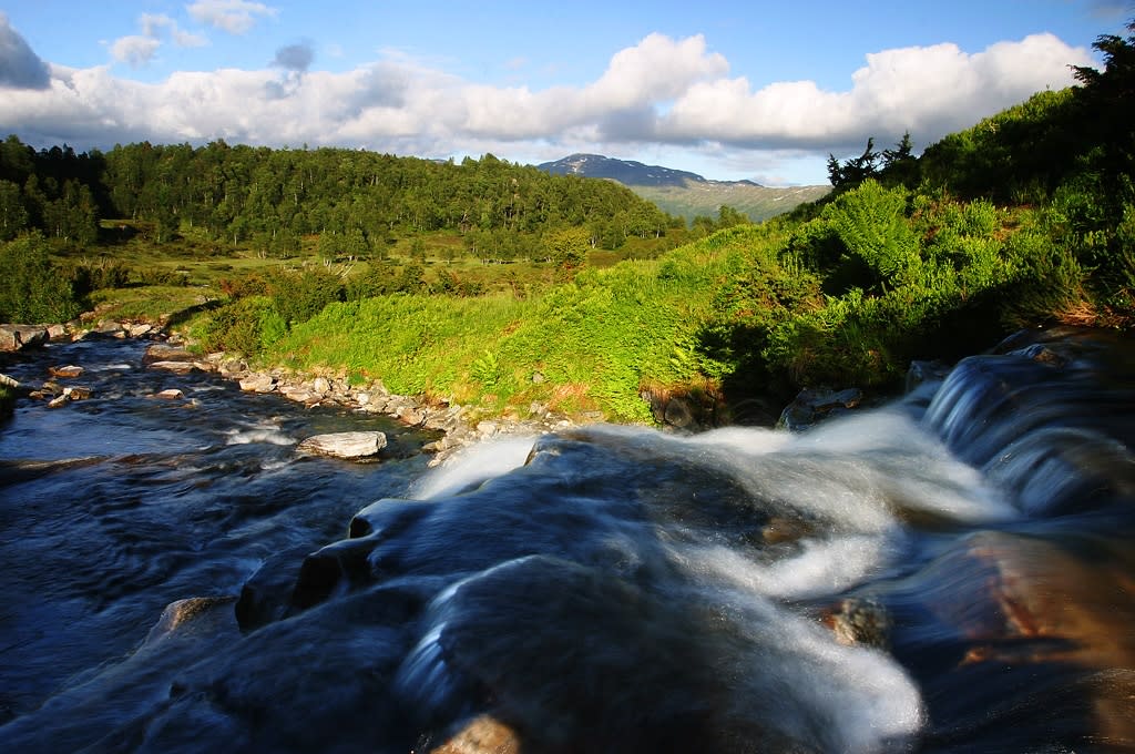 Svandalen in Sauda | Skiing | Saudasjøen | Norway