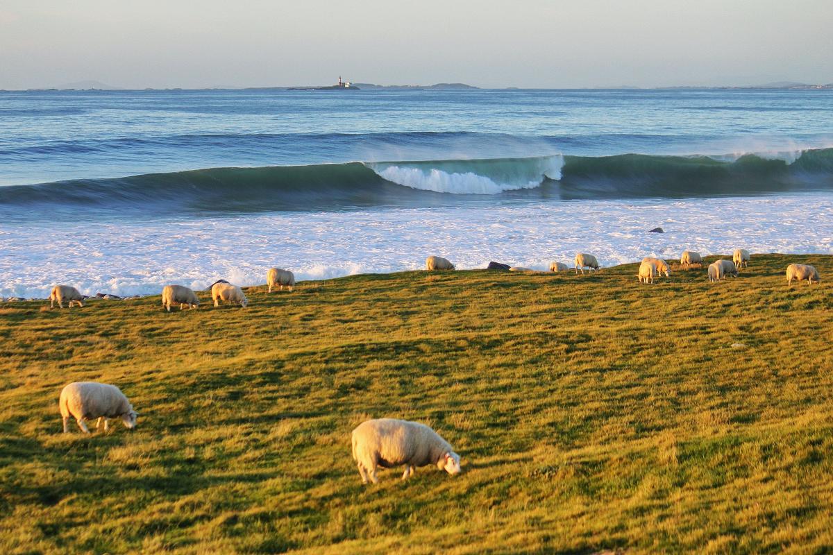 Jærruta | Round Trips | Bryne | Norway