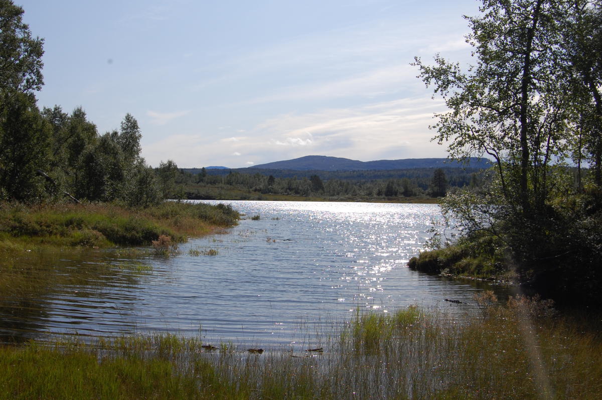 nordmarka-hiking-area-in-surnadal