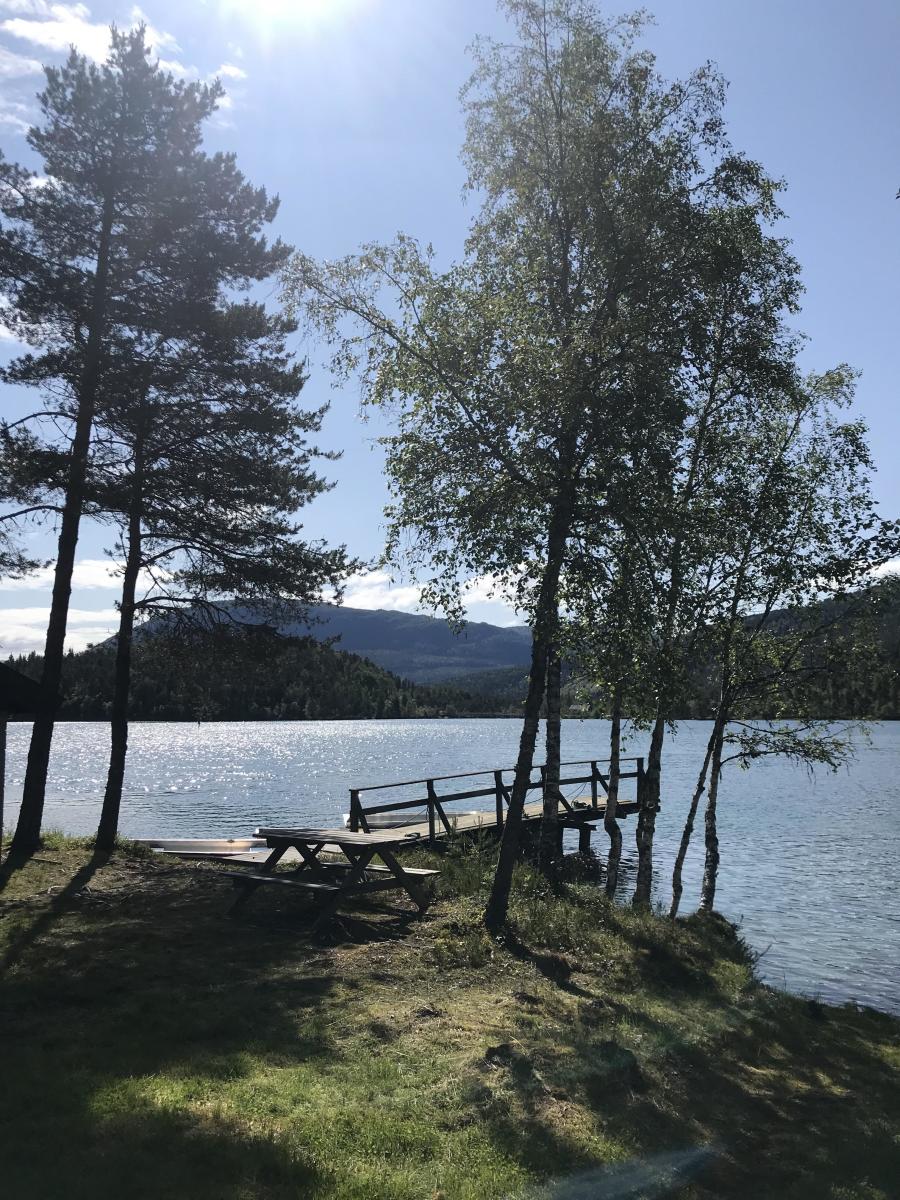 Hafslo Hytteutleige | Apartments | Hafslo | Norway