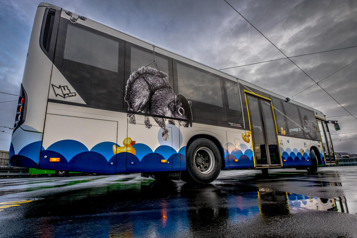 Bus to Vaulen beach from Stavanger | Buses | Stavanger | Norway