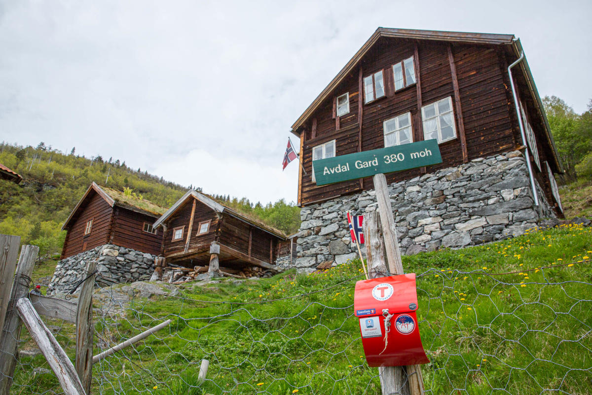 Avdalen | Glacier walking | Øvre Årdal | Norway