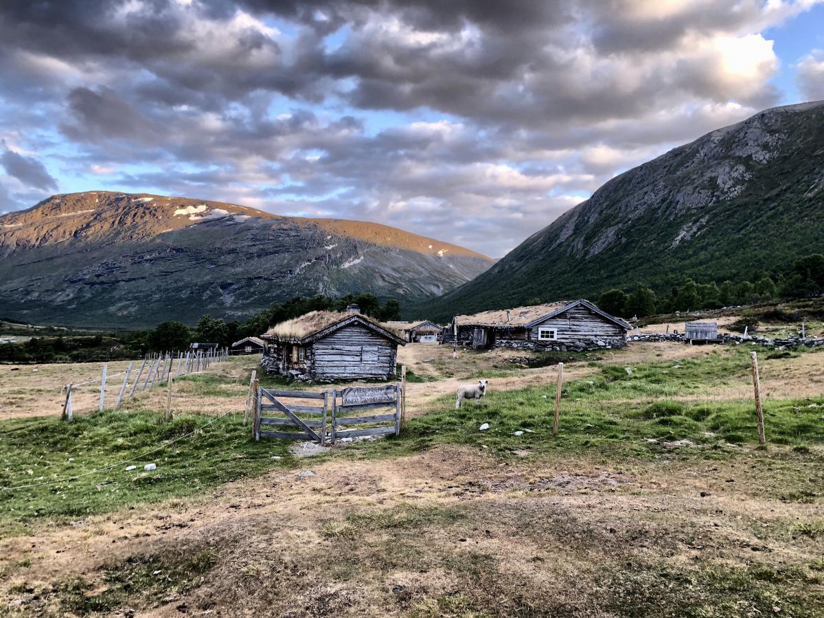 Inner Gammelsetra - seterbesøk i Sunndal | Cafés & Diner | Gjøra | Norway
