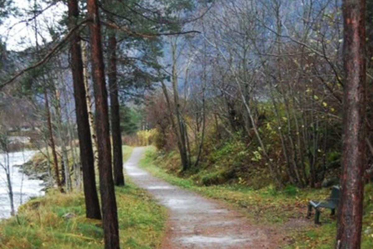 Bedringens veg i Valldal | Hiking | Valldal | Norway