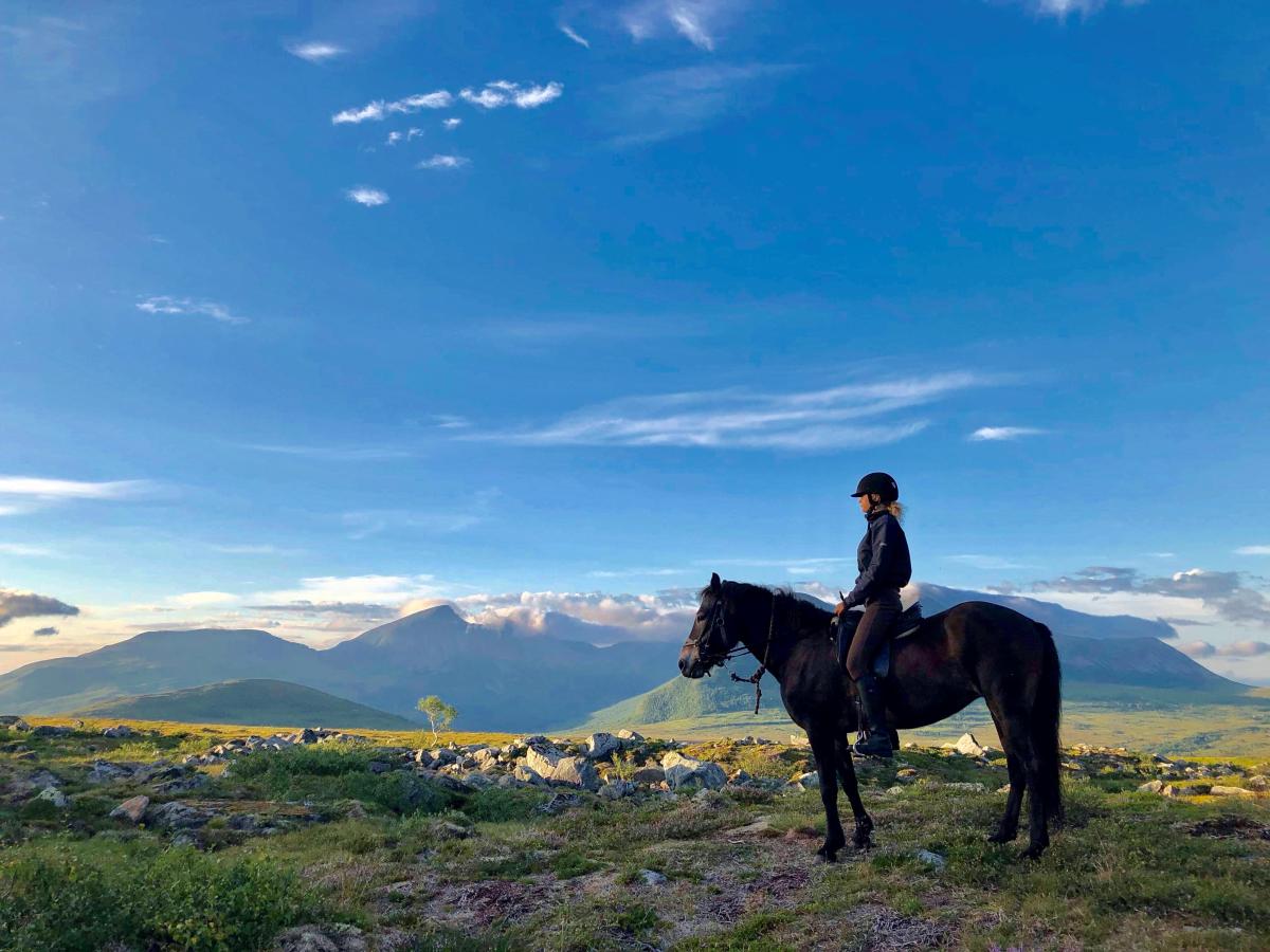 Guided horsebackriding on Ørskogfjellet | Riding & Sledging | Vestnes ...