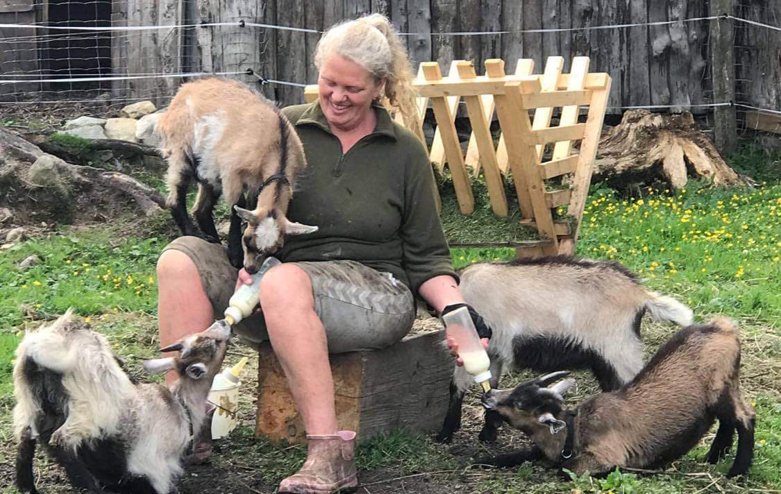 Myrvold Gård | Farm Activities | Huglo | Norway