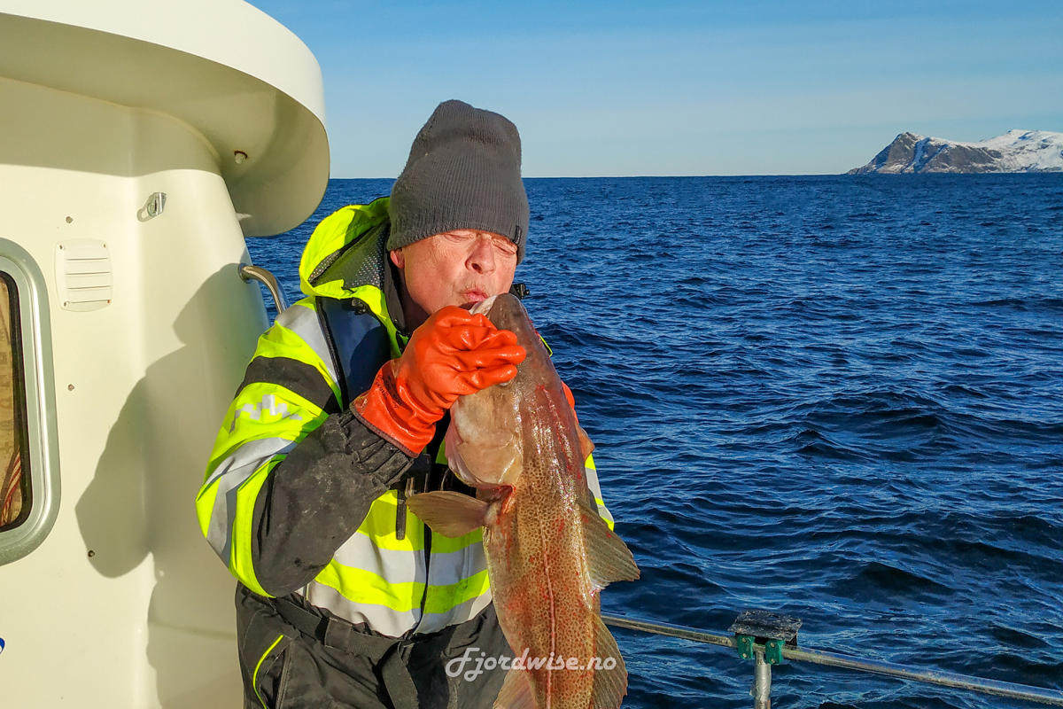Fishing trip with Fjordwise | Fishing | Ålesund | Norway