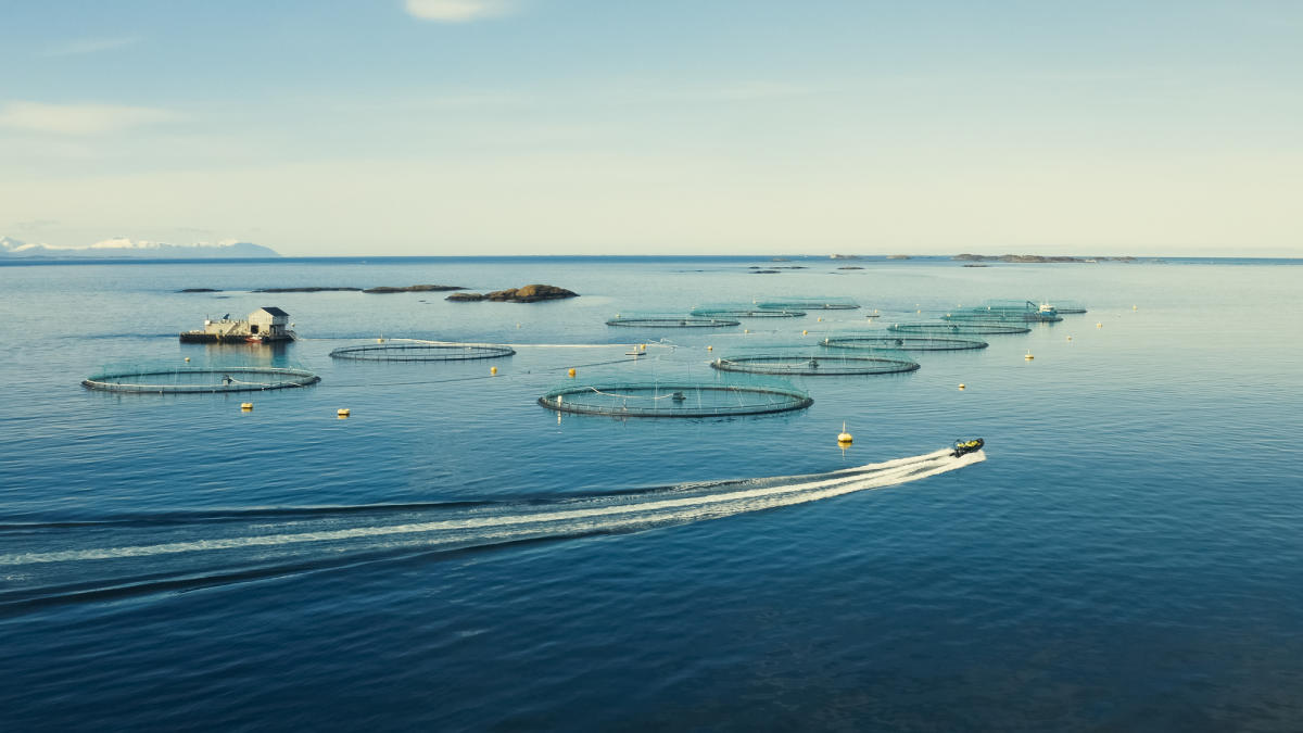 Nekton Aquaculture Visitor Centre | Theme Parks | Smøla | Norway