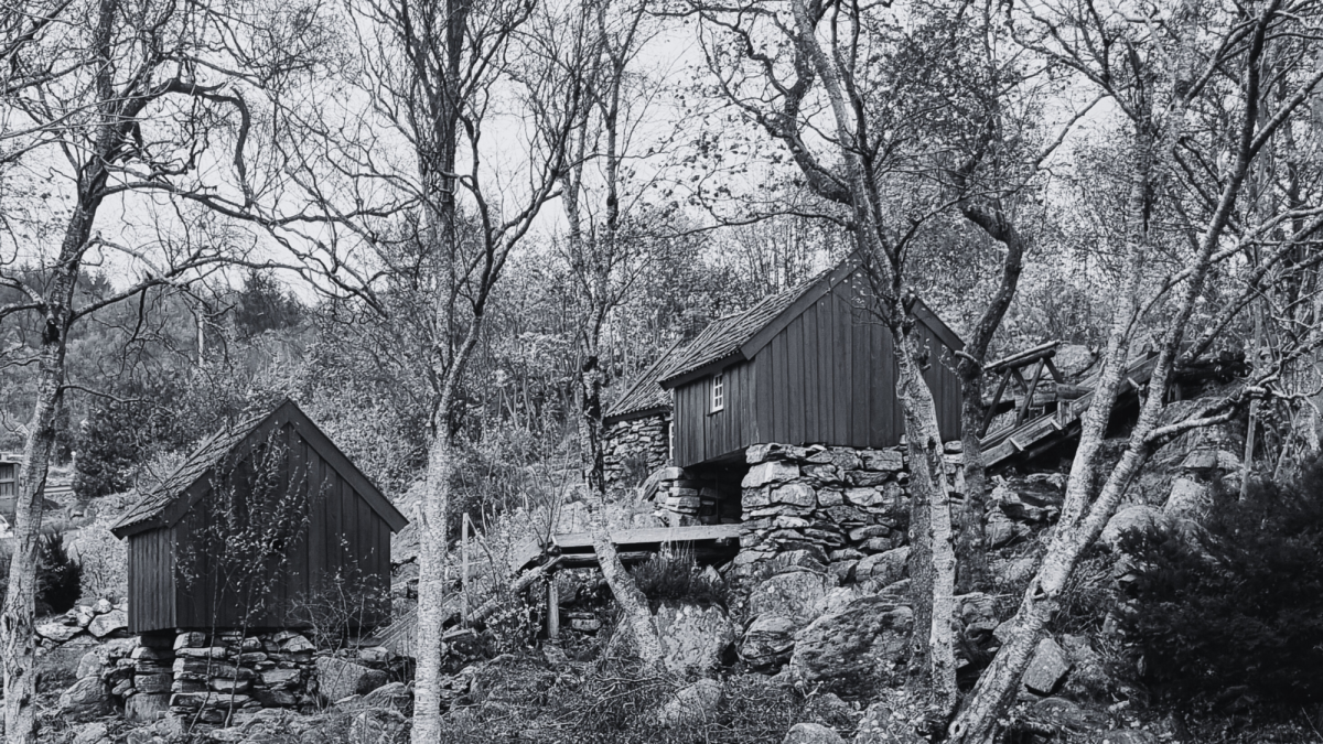 The Force That Shaped Tau | Guided Tours | Tau | Norway