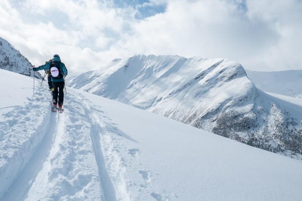 Topptur for nybegynnere med guide | Skiing | Tafjord | Norway