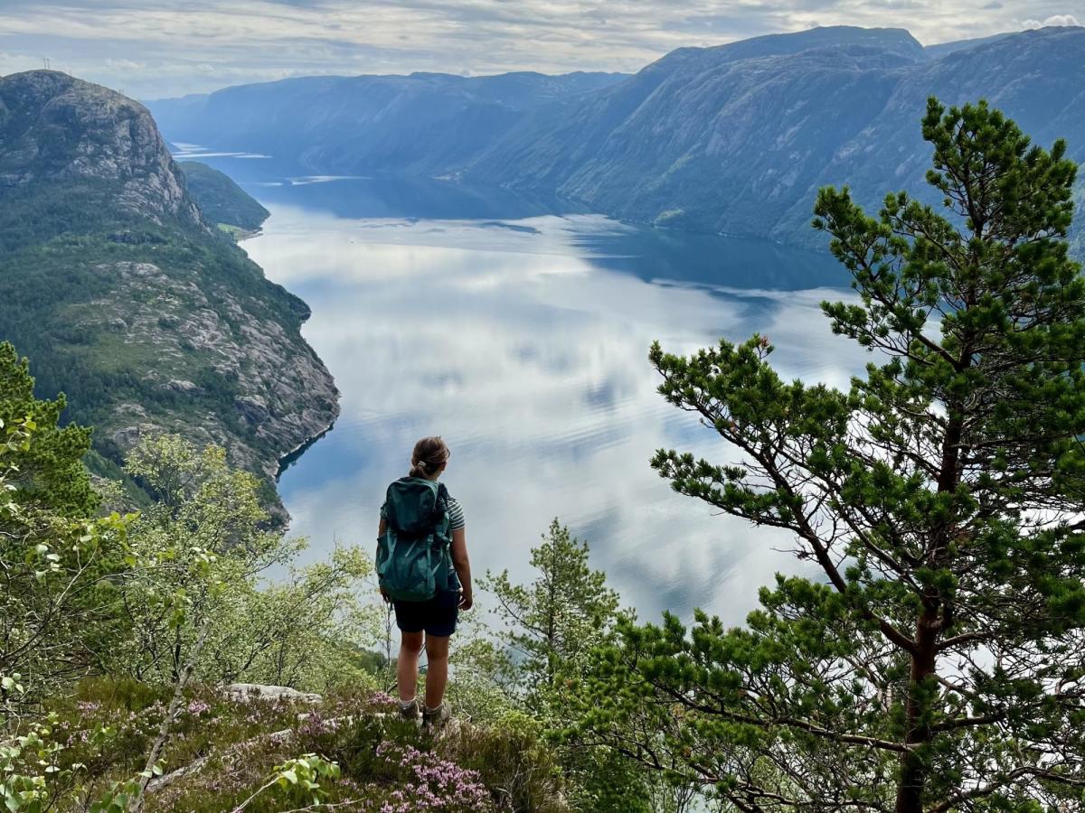 Preikestolen Hike, Cruise and Cabin Package | Hiking | Stavanger | Norway