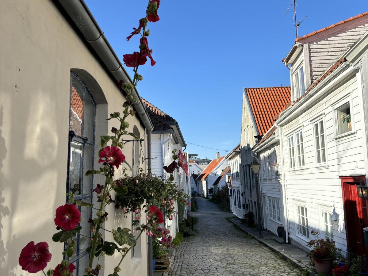 Privat, guidet tur i Stavanger | Guided Tours | Stavanger | Norway