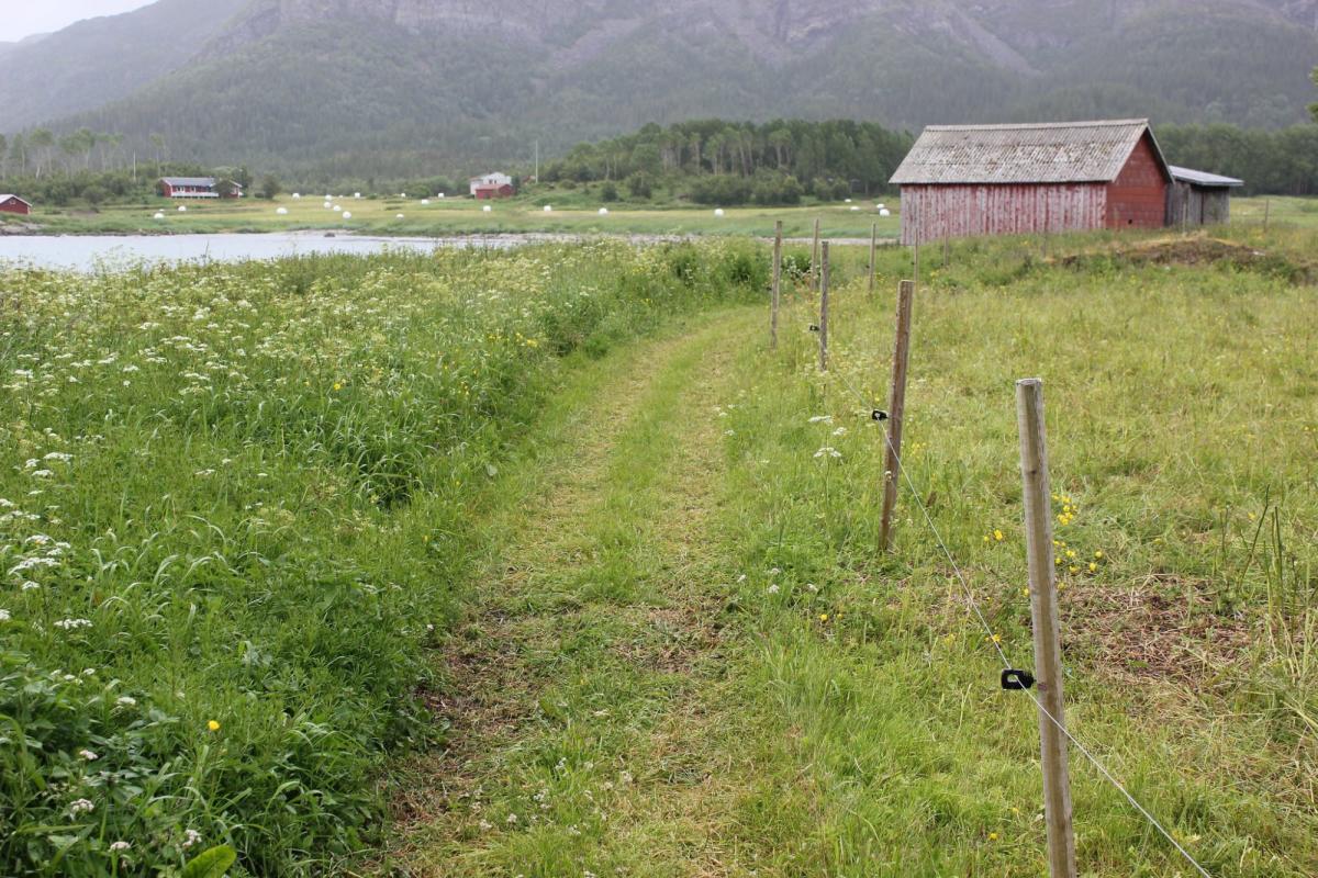 Holm cultural trail | Hiking | Bindalseidet | Norway
