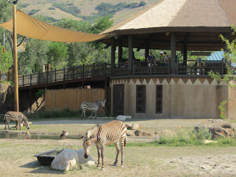 Utah's Hogle Zoo