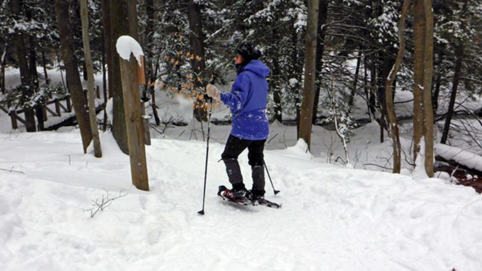 Snowshoeing Trails And Experiences In Grand Rapids