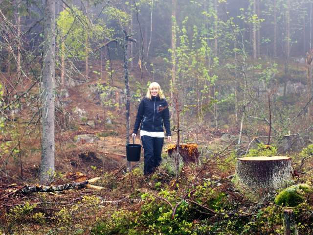 Literature in Norway | Henrik Ibsen, libraries, book towns