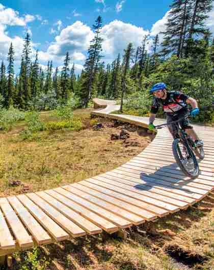 Summer in Trysil | Mountain biking heaven