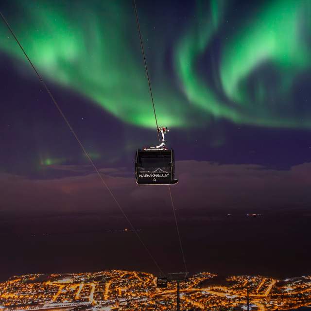 Narvik | Äventyr i arktisk fjällmiljö, skidåkning, norrsken