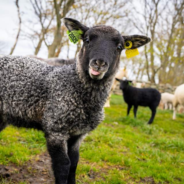 April i Norge | Aktiviteter