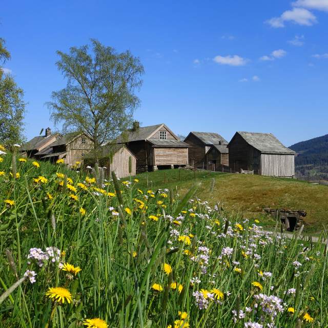 Voss | Norges adrenalinhuvudstad