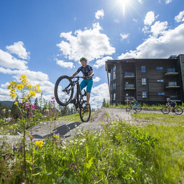 Summer in Trysil | Mountain biking heaven