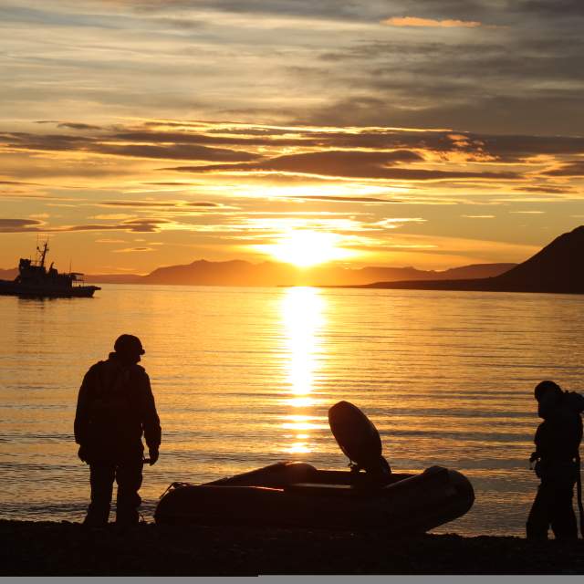 Svalbard, Norge – Arktisk vildmark, unikt djurliv