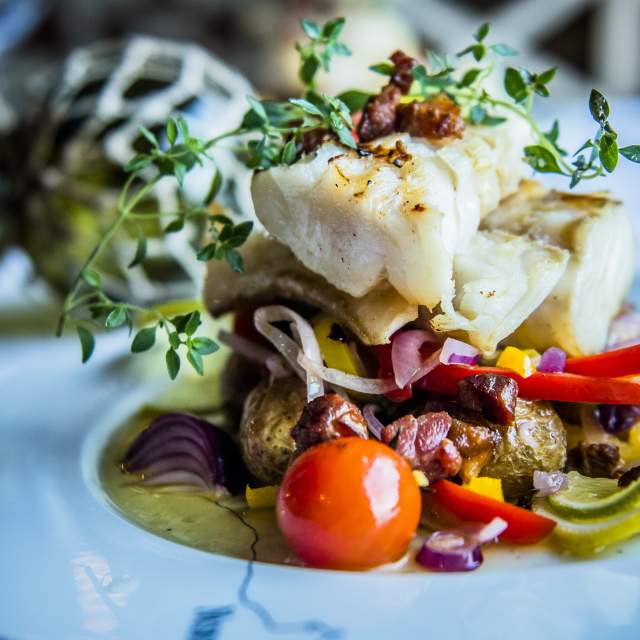 Le skrei : le poisson qui a fait la Norvège | Le cabillaud, ce héros