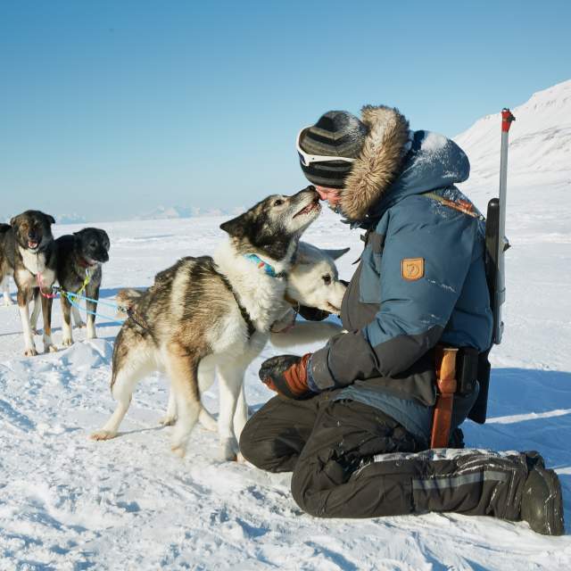 Svalbard, Norge – Arktisk vildmark, unikt djurliv