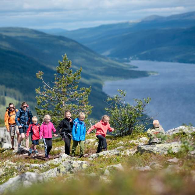 Summer in Trysil | Mountain biking heaven