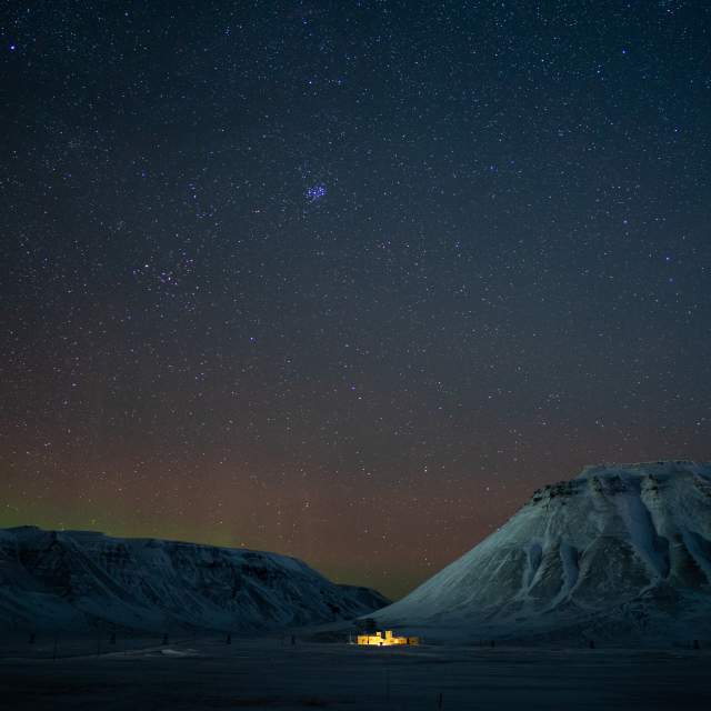 Svalbard, Norge – Arktisk vildmark, unikt djurliv