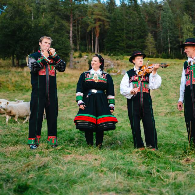 typical norwegian features