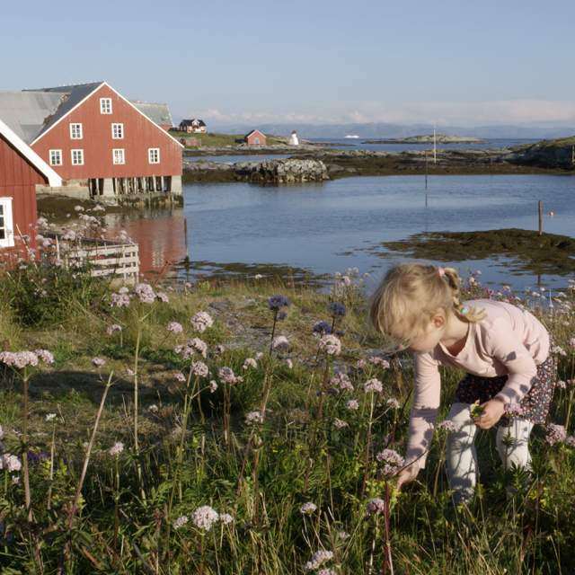 Namdalen | Där naturen kommer till dig