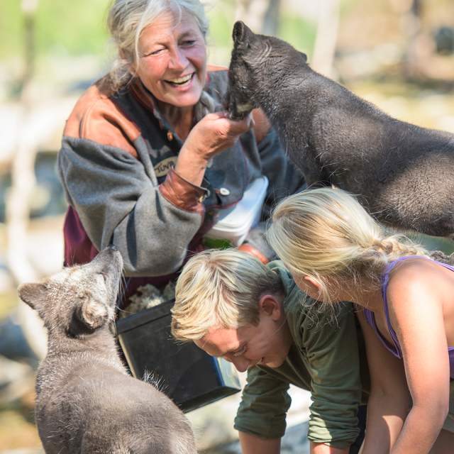 Hallingdal | Familjedalen