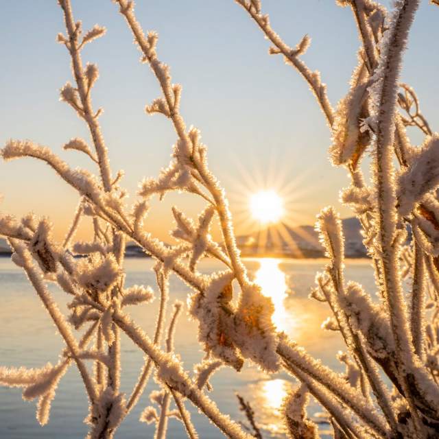 Il nostro amore per la neve in Norvegia | Attività invernali