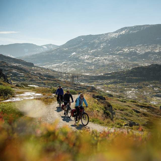 Hallingdal | La valle per le famiglie