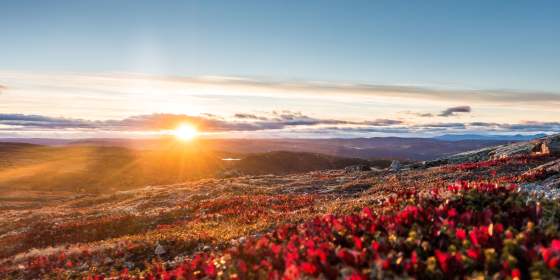 Hallingdal - Offisiell reiseguide til Norge - visitnorway.no